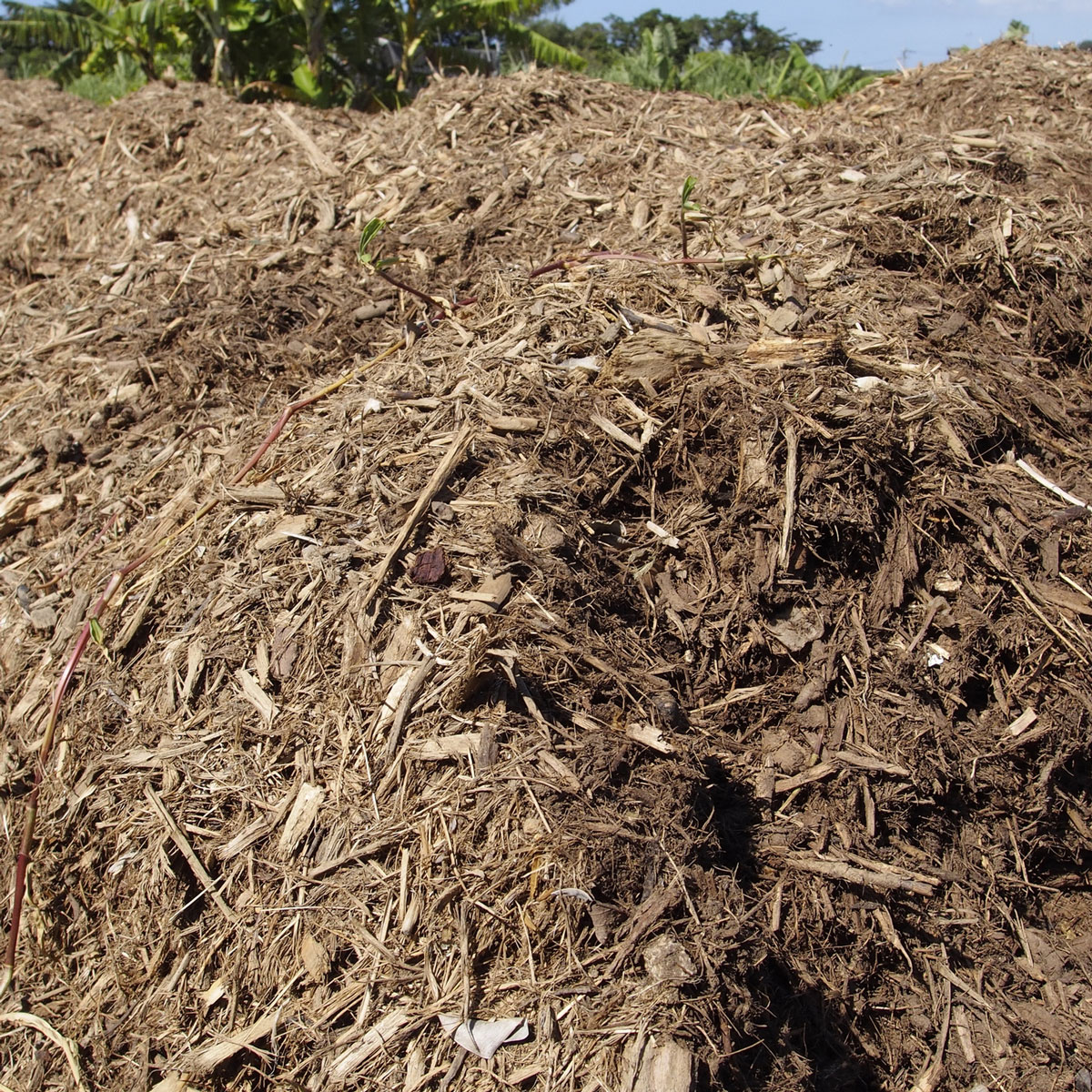 Products – GREENTECH WORLD